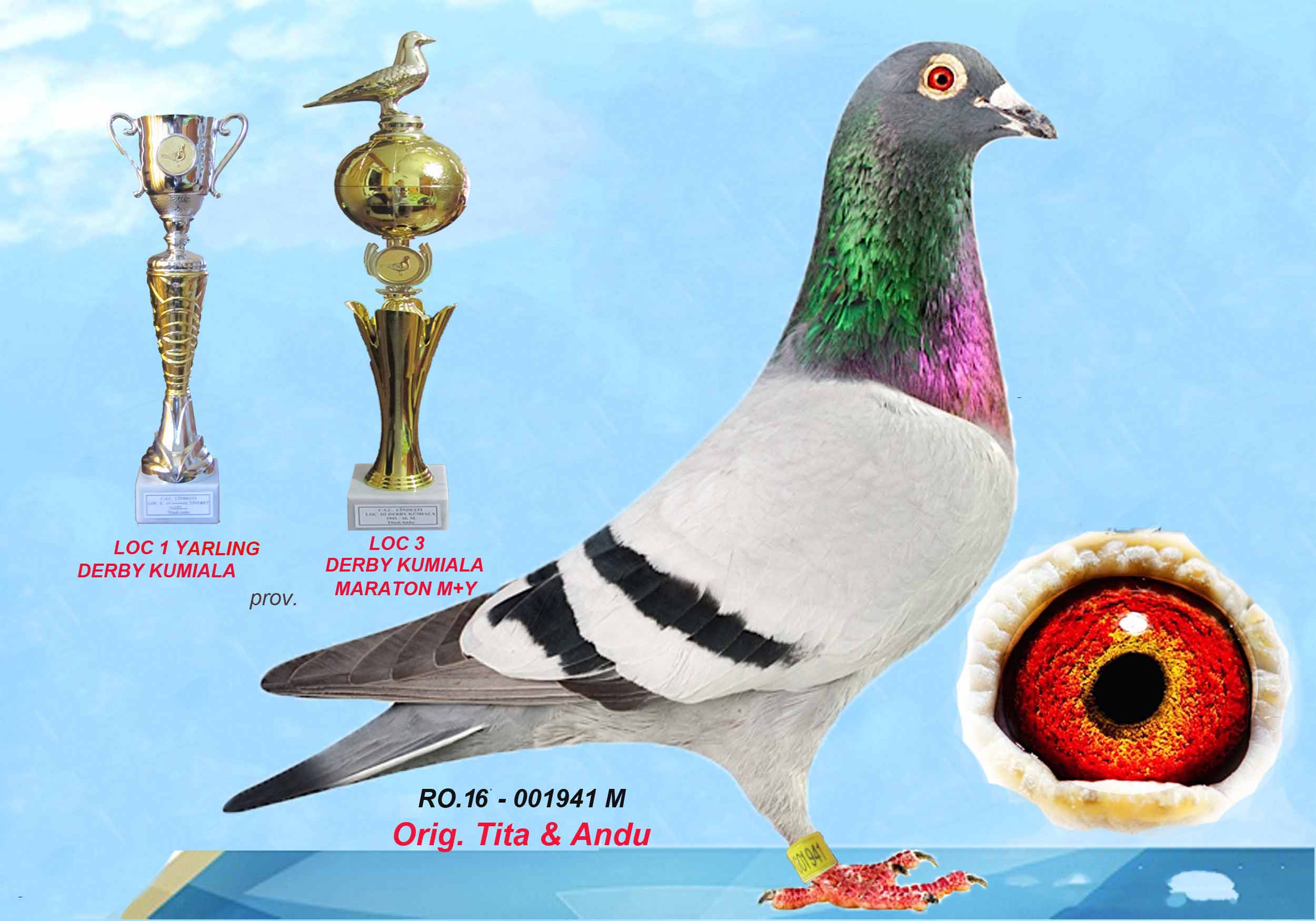 Porumbei voiajori - Tita & Andu