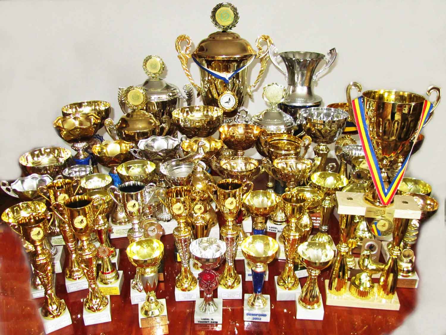 Porumbei voiajori - Tita & Andu